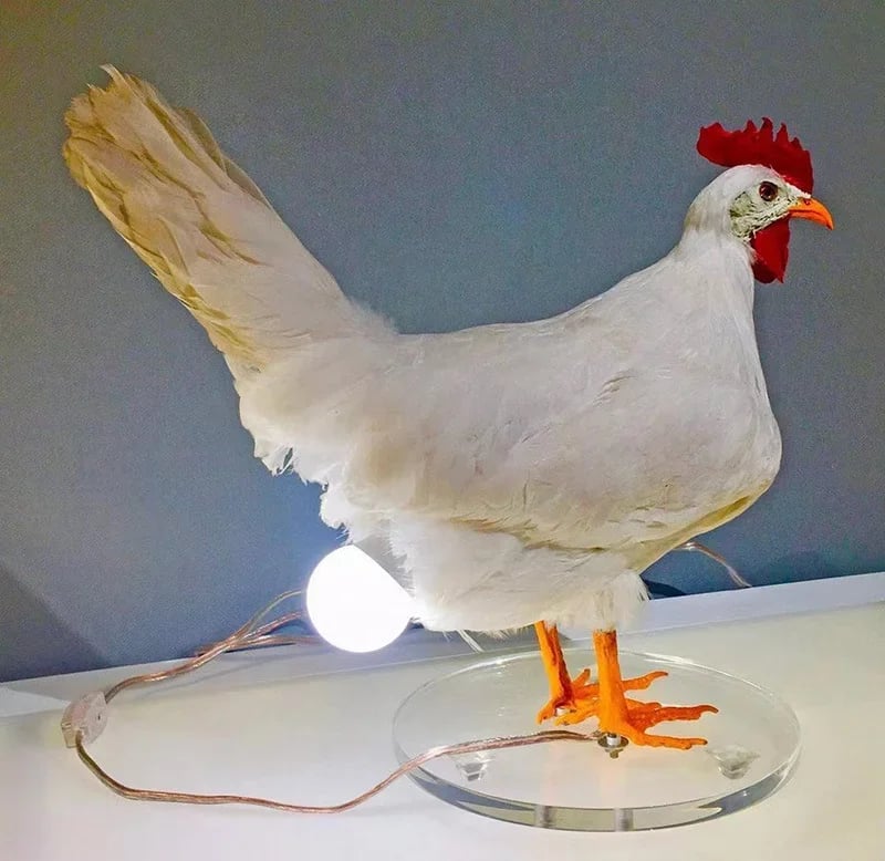 🐓💡Hilarious Chicken Egg Lamp - Laabuu